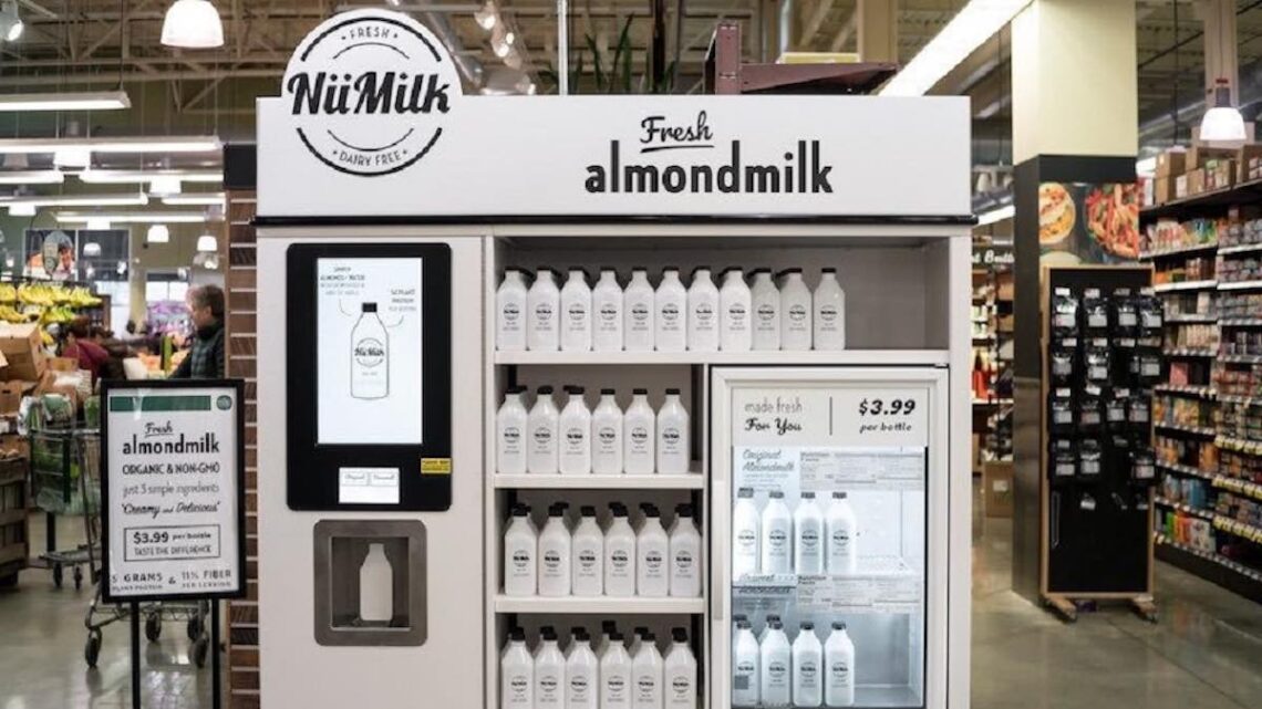 Numilk Net Worth 2023